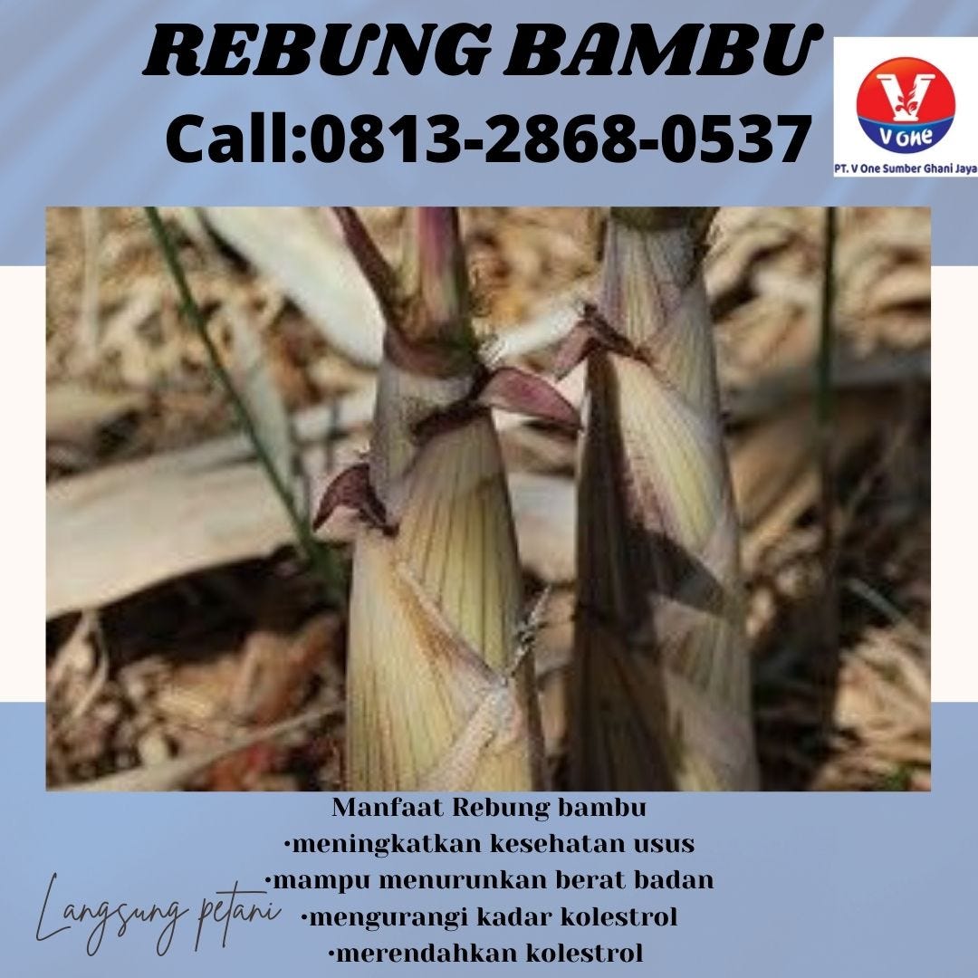 Pusat Budidaya Herbal Rebung Bambu Betung Tambak Bayumas ...