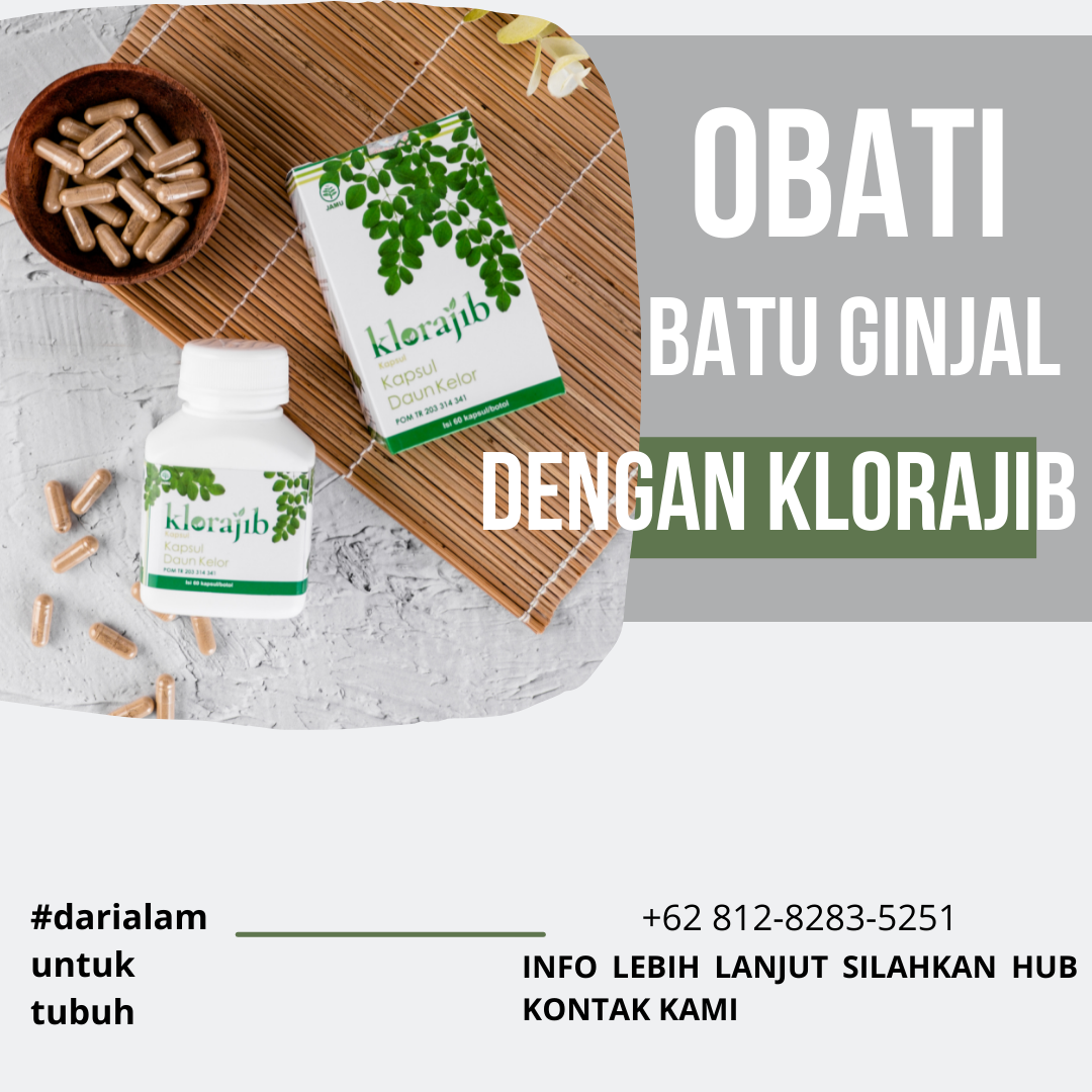 WA 0812–8283–5251MENAKJUBKAN !!!Daun Kelor Untuk GerdKabupaten Timor ...
