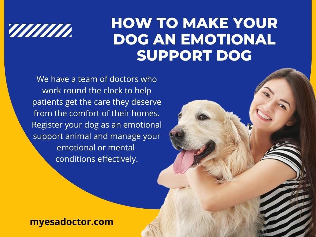 How to Make Your Dog an Emotional Support Dog - Myesadoctor - Medium