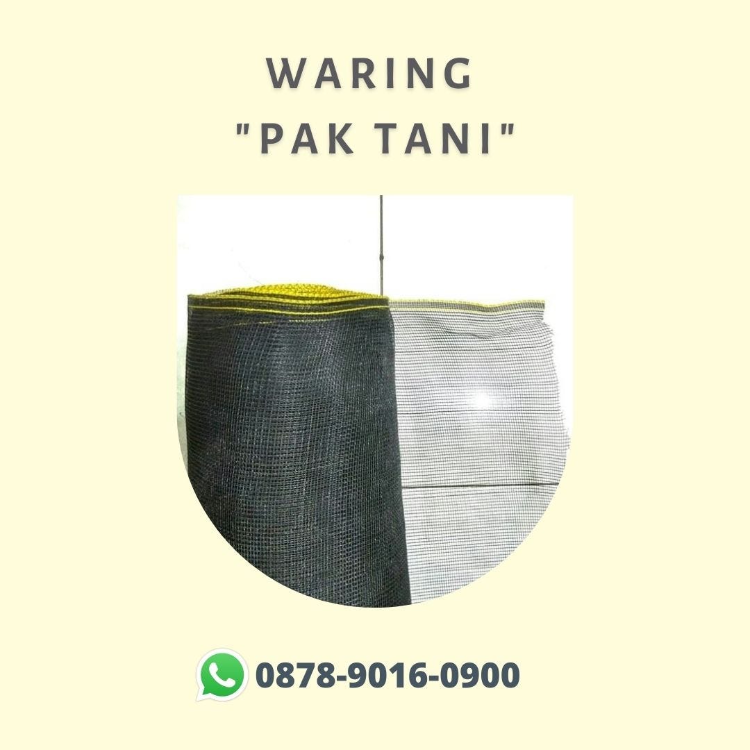 Waring Pak Tani - Waringjaring - Medium