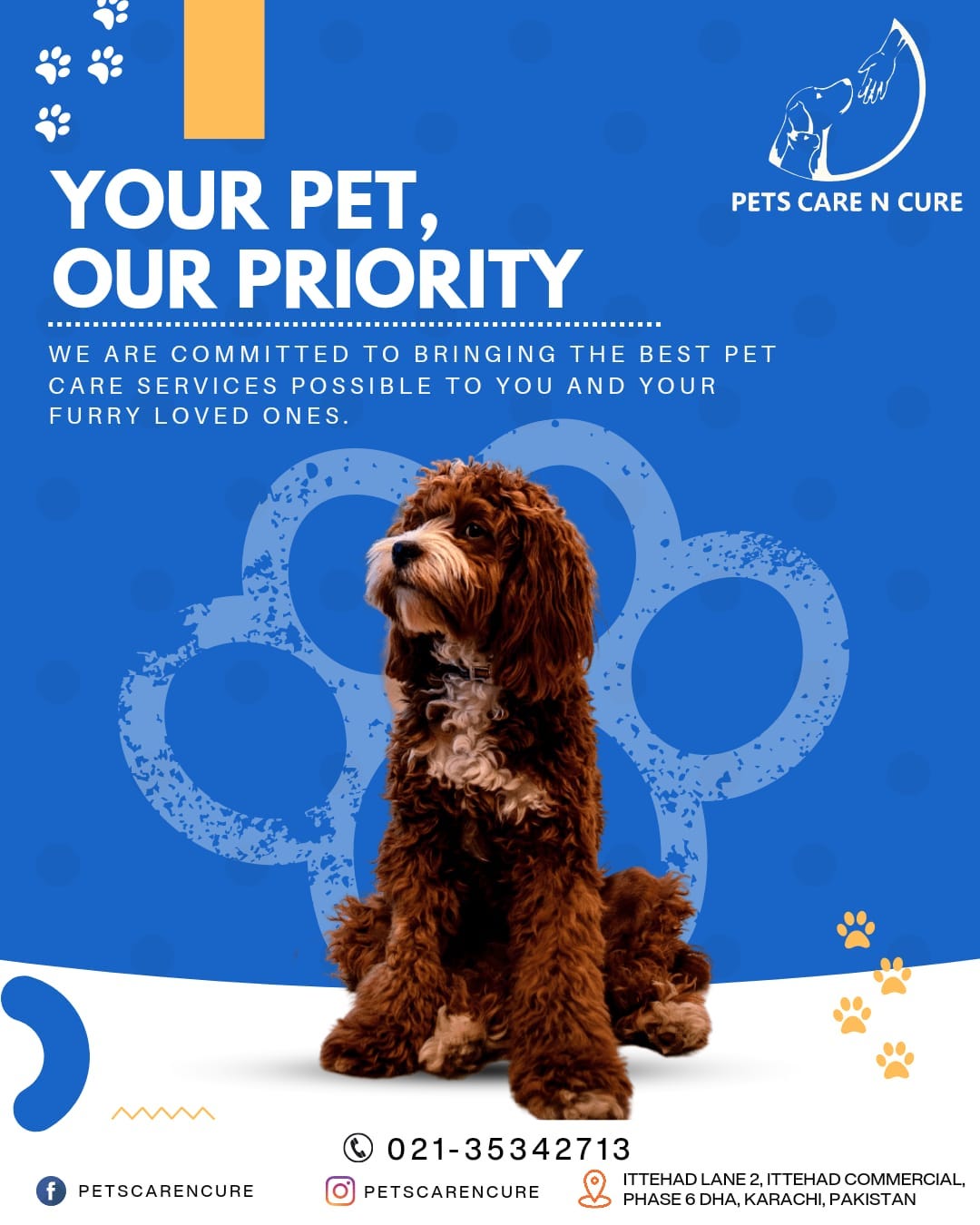 Veterinary Clinic in Karachi - Pet's Care & Cure - Medium