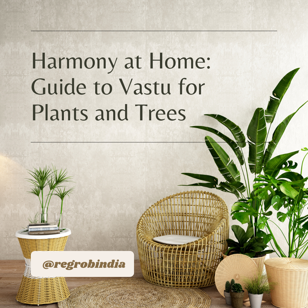 Guide to Vastu for Plants and Trees | Medium
