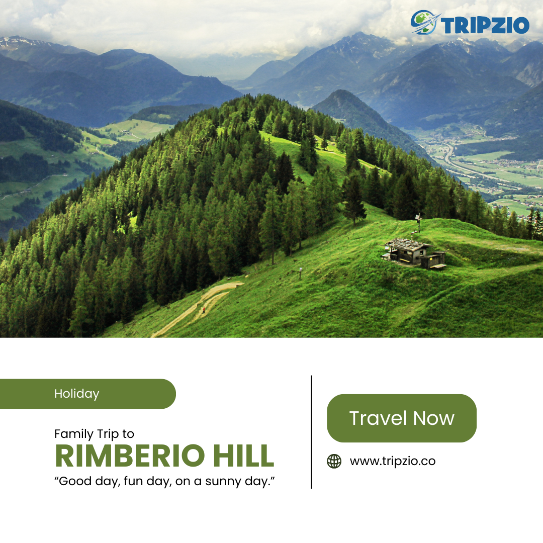 Perched on Rimberio Hill, feeling on top of the world. - Tripzio - Medium