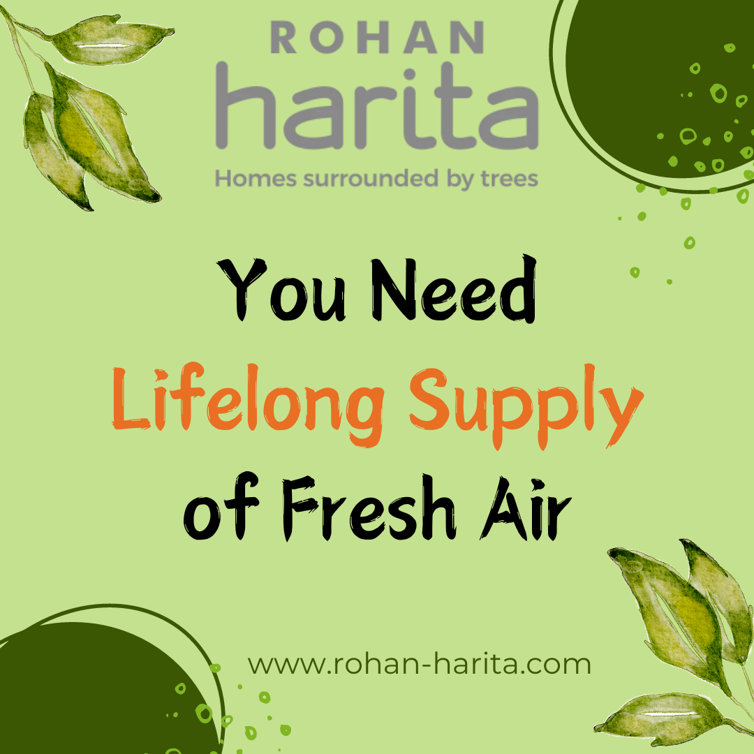 What Are the Key Highlights of Rohan Harita That You Can’t Miss? | by ...