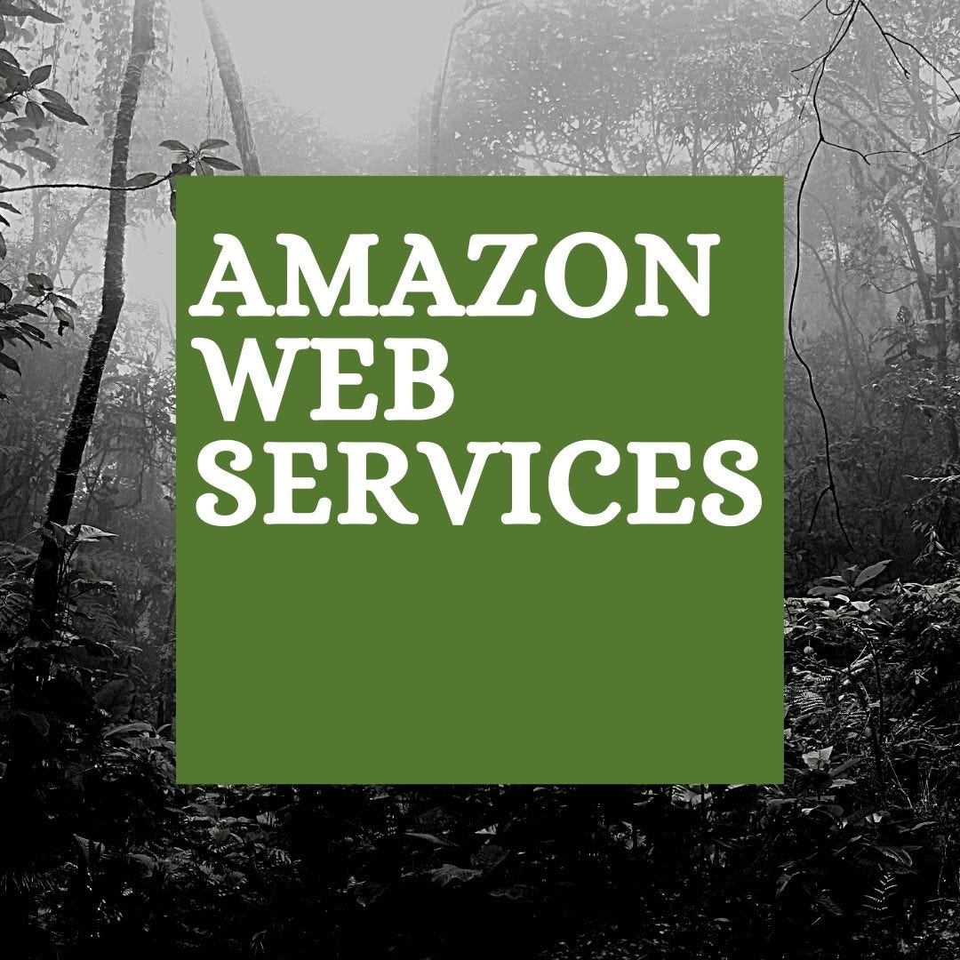 Amazon Web Services. Amazon Web Services (AWS) is a… | by Karishma | Medium
