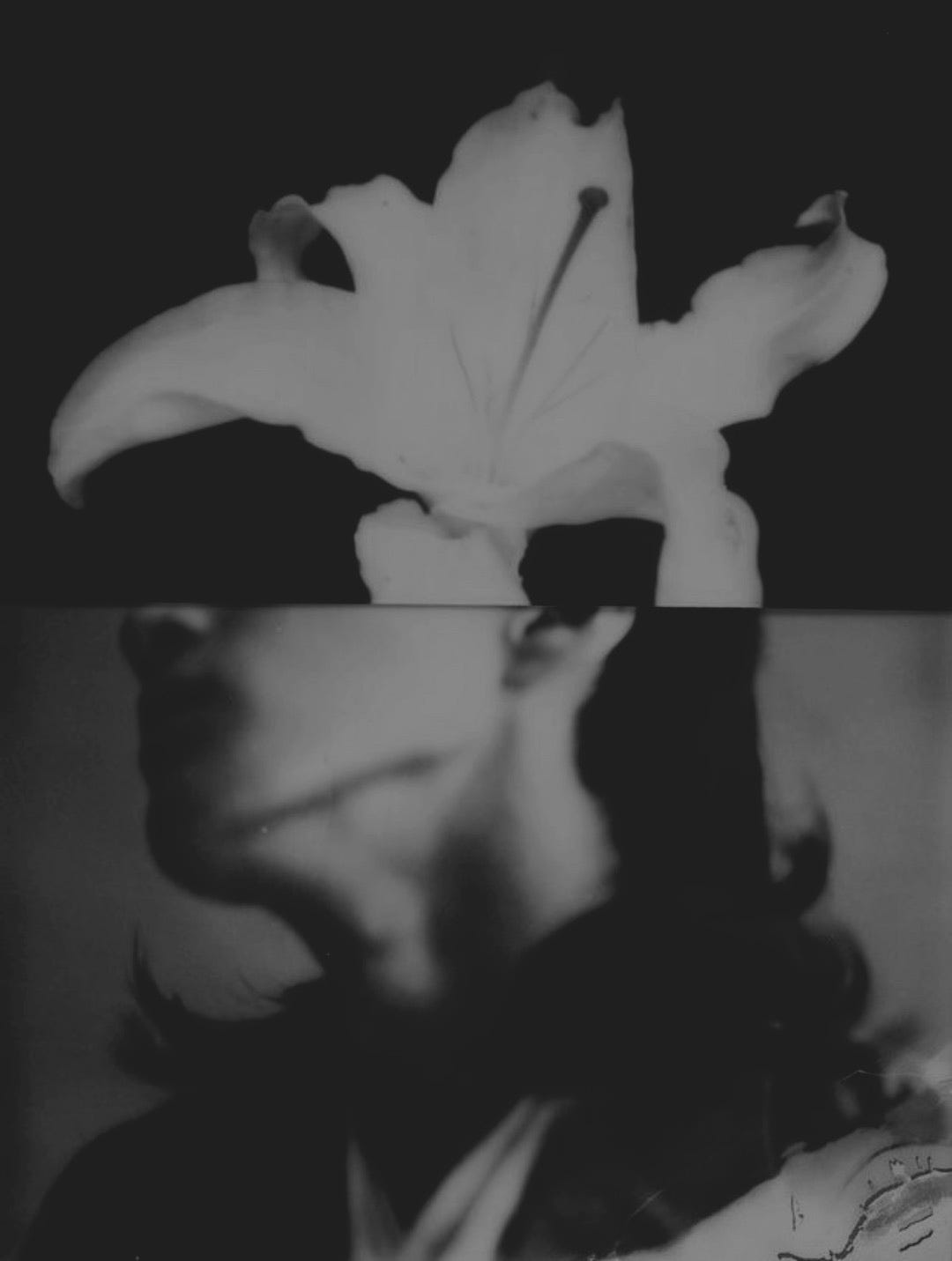 Bunga Layu. | by 𝐈𝐒𝐀𝐈𝐀𝐇 | Sep, 2023 | Medium