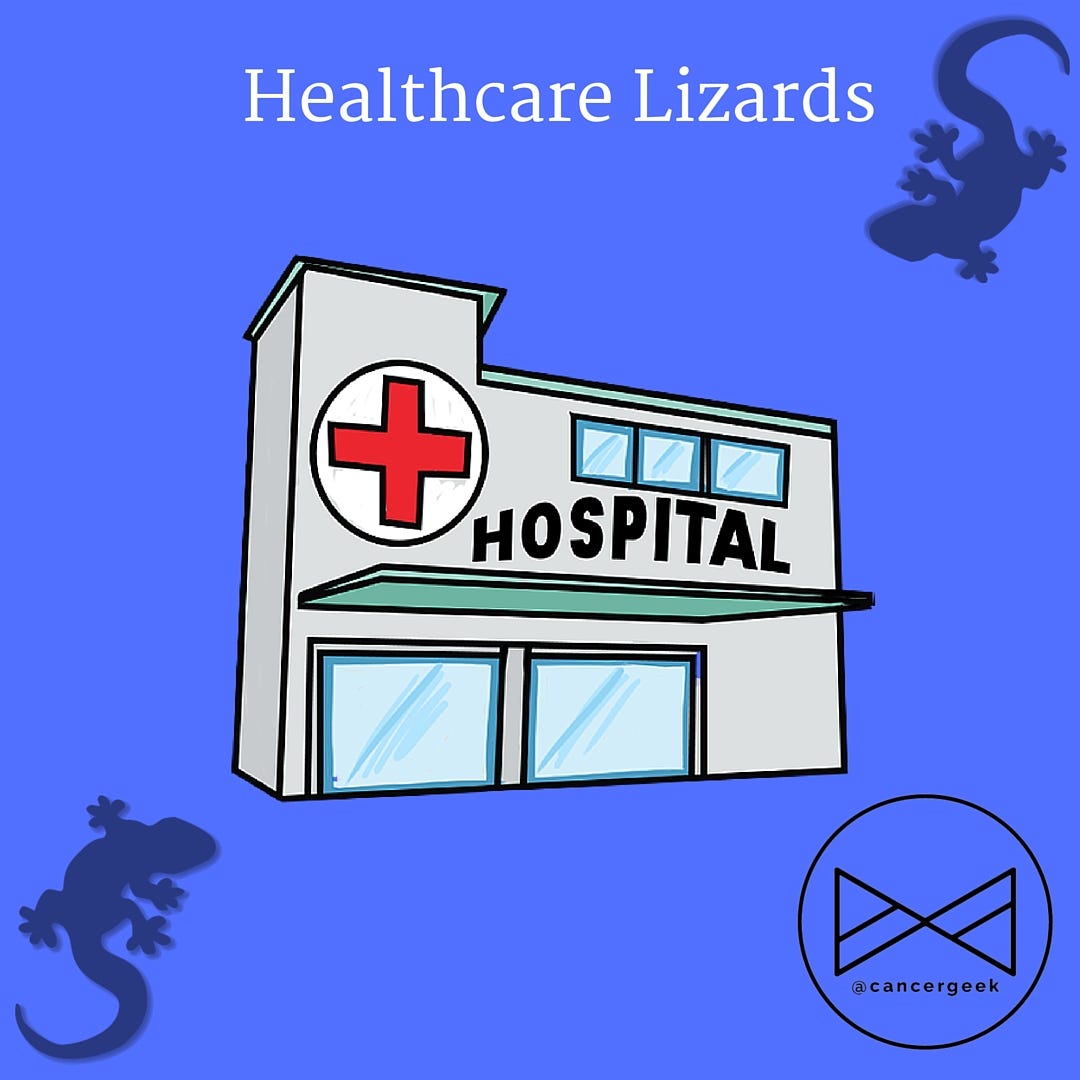 Are You A Healthcare Lizard. by Cancergeek | by CancerGeek | Medium