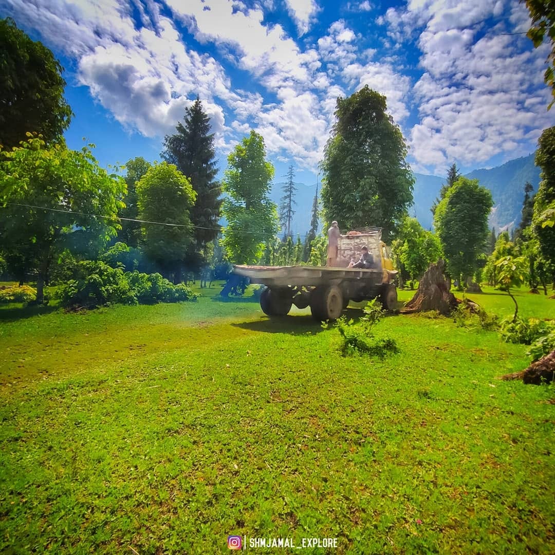 Little Wait For March. We have pass from the season of winter… | by ...