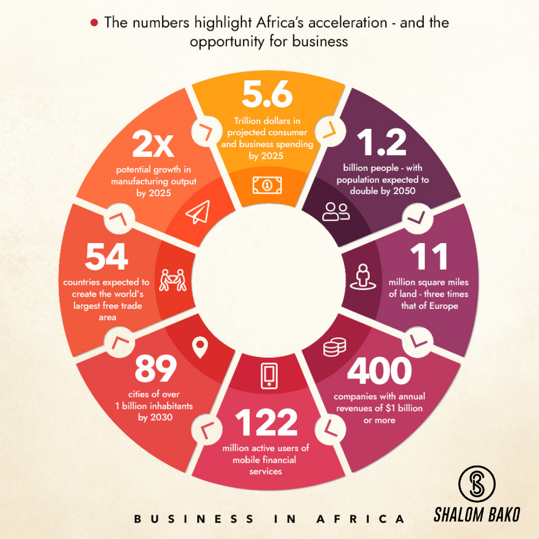 Business in Africa: 5 Profit-Generating Reasons to Invest in One | by ...