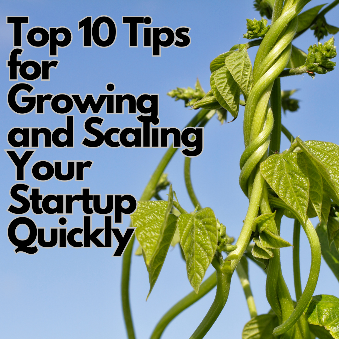 Top 10 Tips for Growing and Scaling Your Startup Quickly | by Sean ...