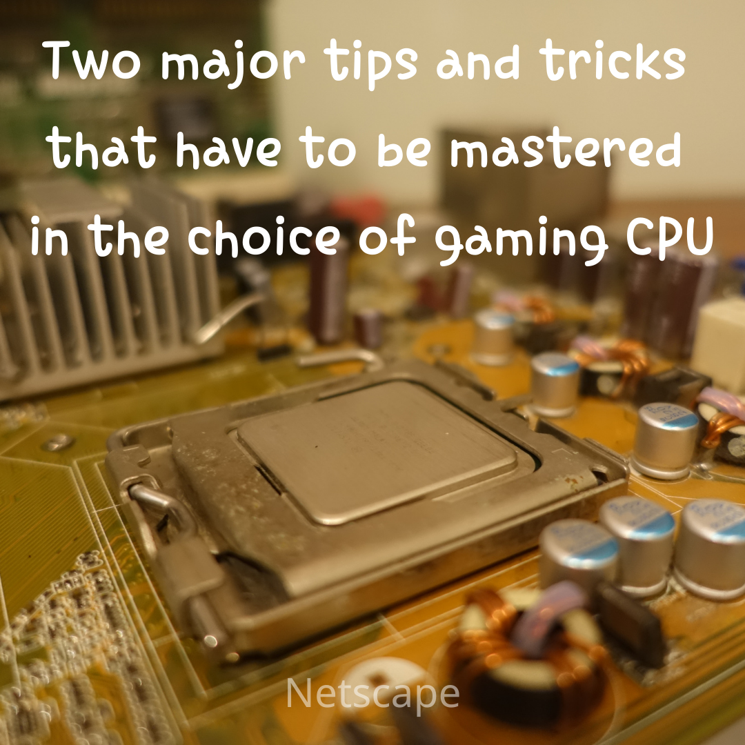【Two major tips and tricks that have to be mastered in the choice of ...