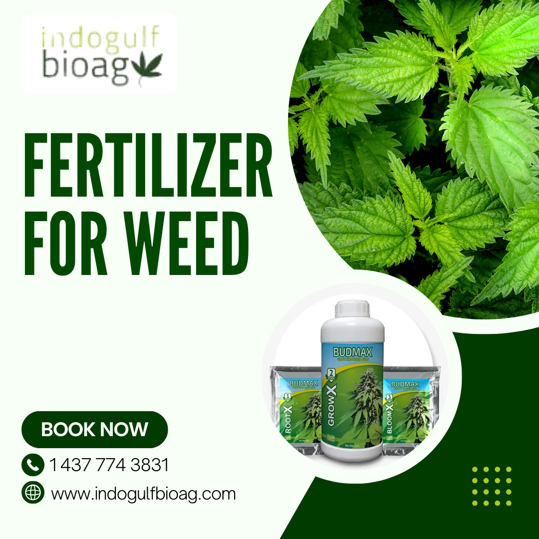 Get The Best Out Of Your Weed Plants With BudMax — The Trusted ...