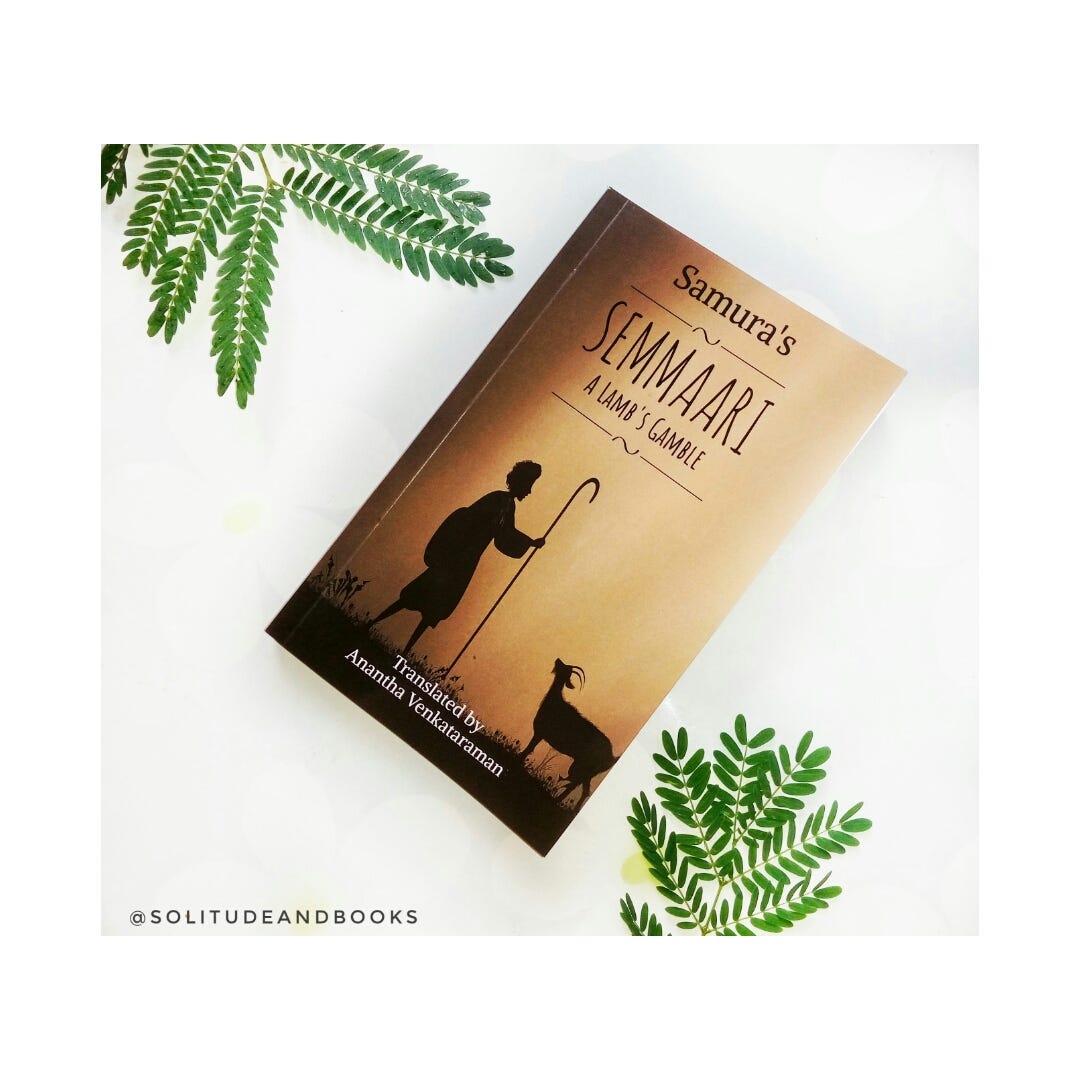 Semmaari -A Lamb ‘s Gamble Book Review | by Solitude and Books ...