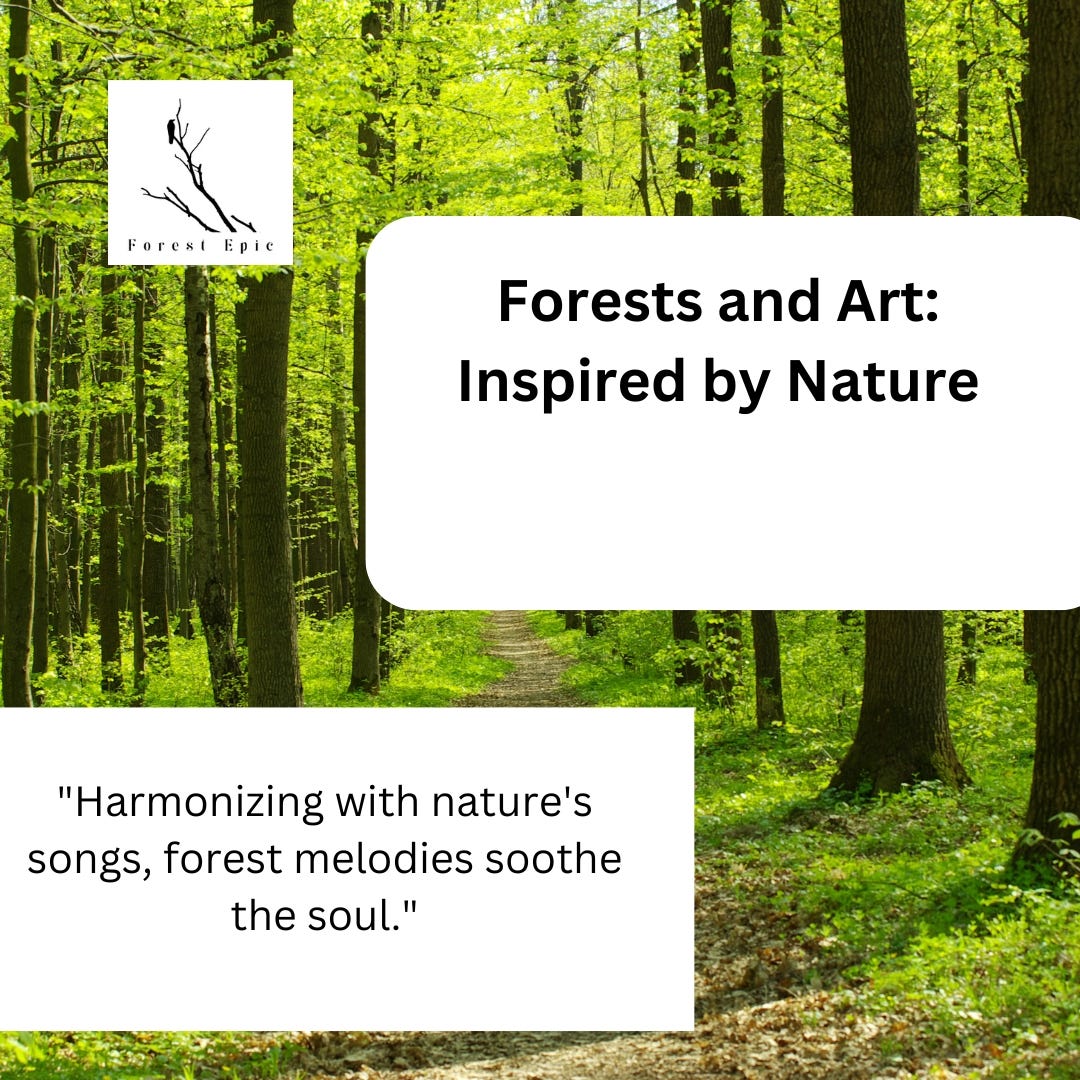 The role of forests in soil health - William S. - Medium
