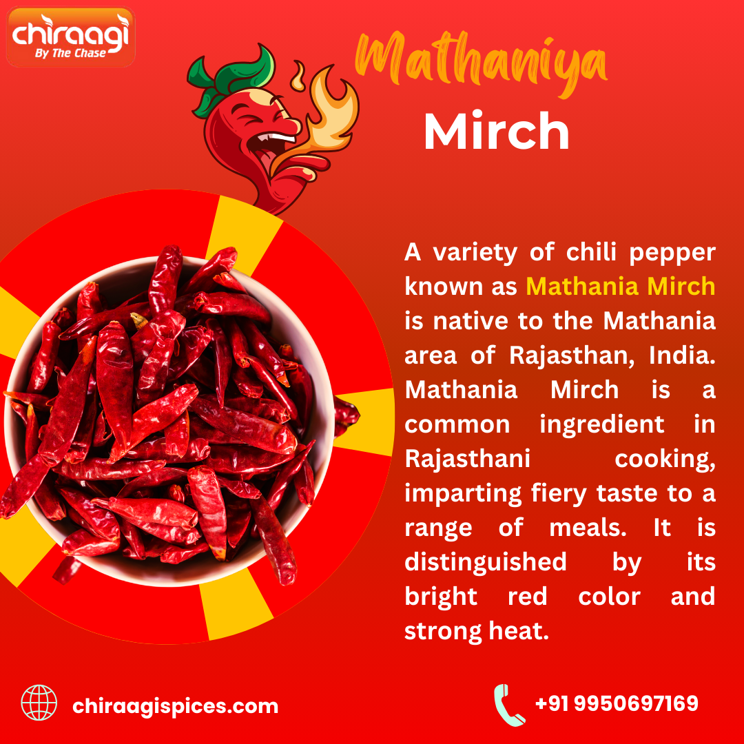 Mathaniya Mirch. A variety of chili pepper known as… | by chiraagi ...