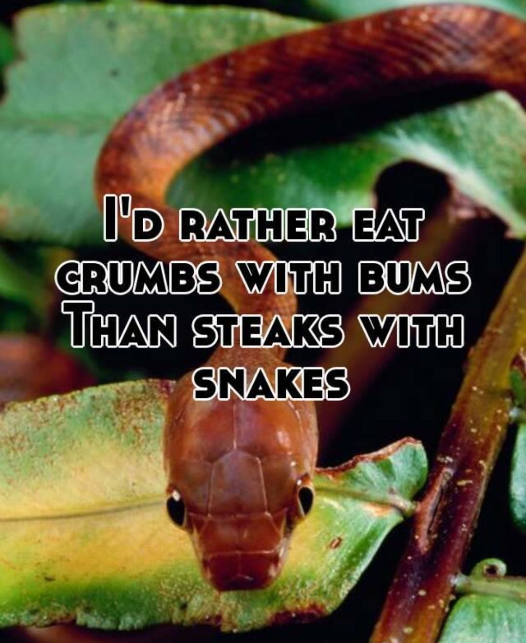 I'd rather eat crumbs with bums then steak with snakes. | by Treadmill ...