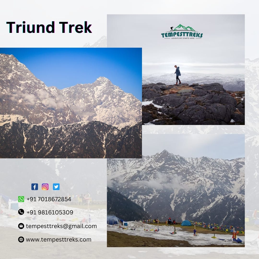 A Quick Guide About Triund Trek In Himachal Pradesh - Tempest Treks ...