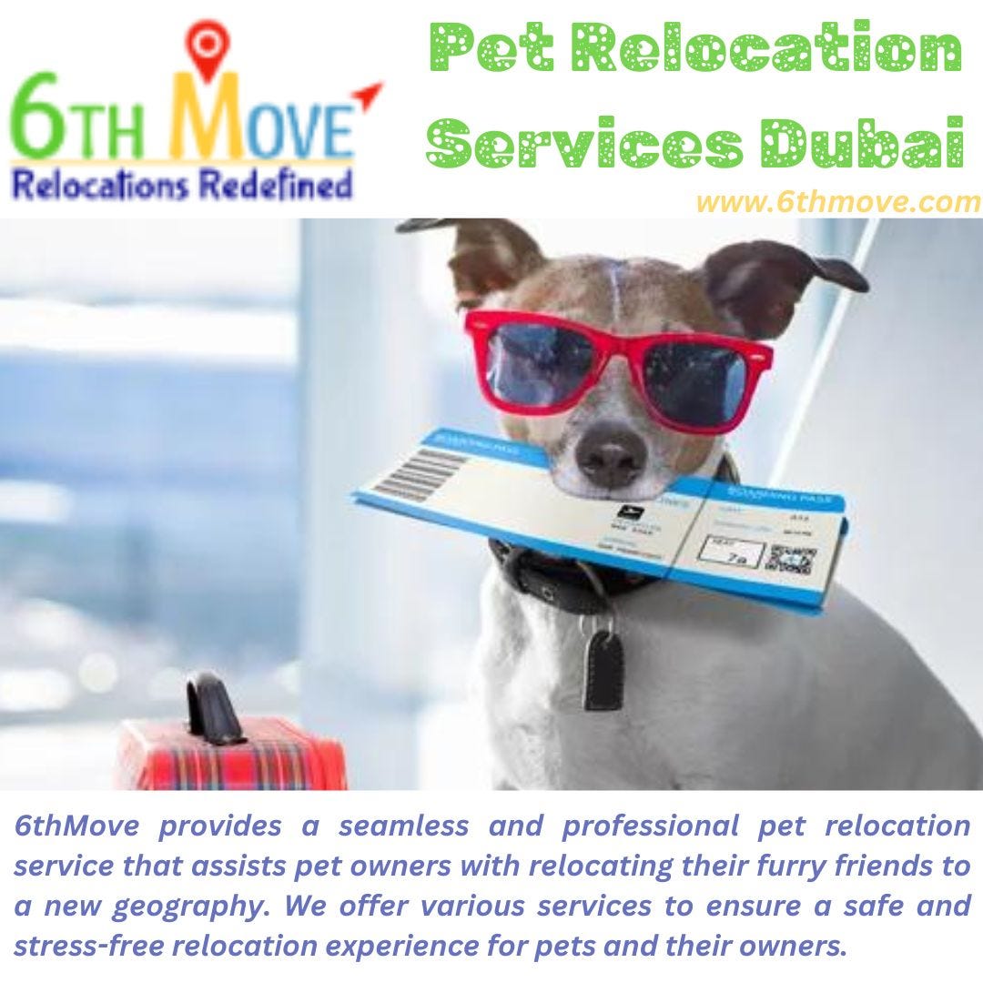 Safe and Comfortable Pet Relocation in Dubai by 6th Move Relocations ...