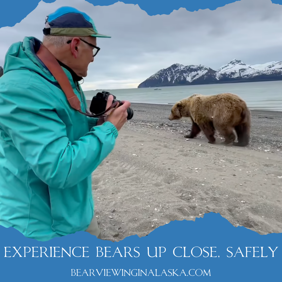 How to get the most out of bear watching in Alaska? | by Mel Erickson ...