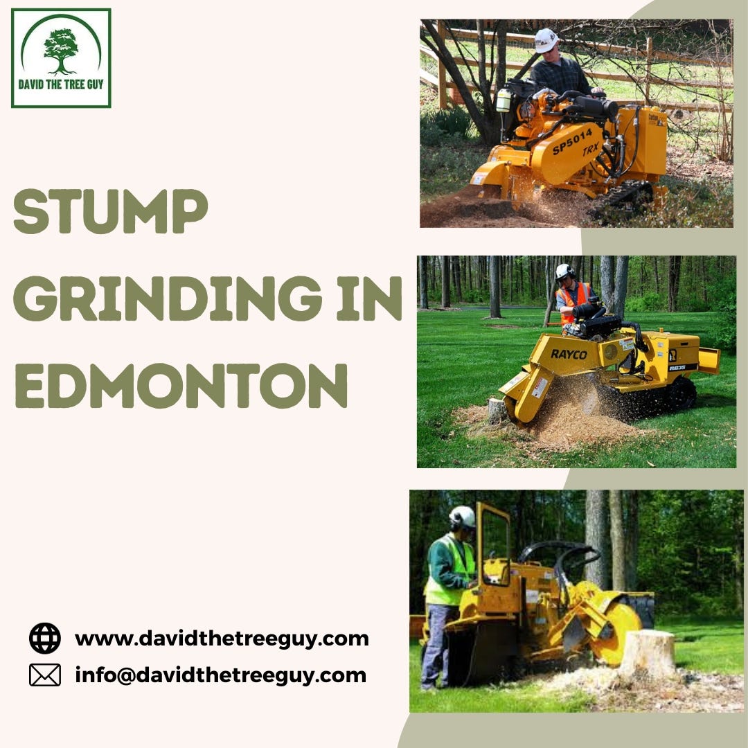 Stump Grinding In Edmonton - David The Tree Guy - Medium