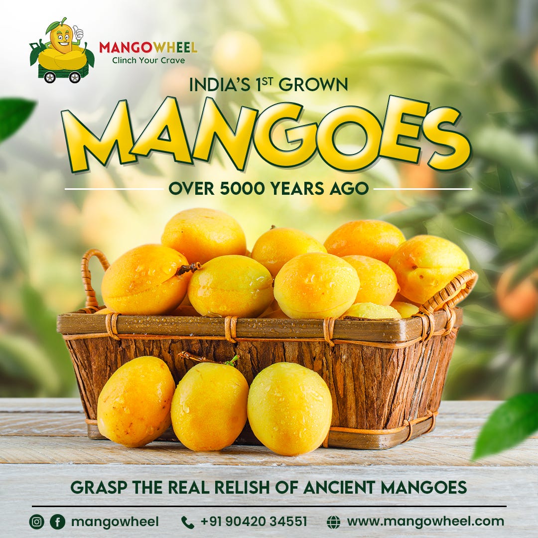 Gundu Mango and Sendura Mango | Salem Mangoes Online | by foxdigital ...