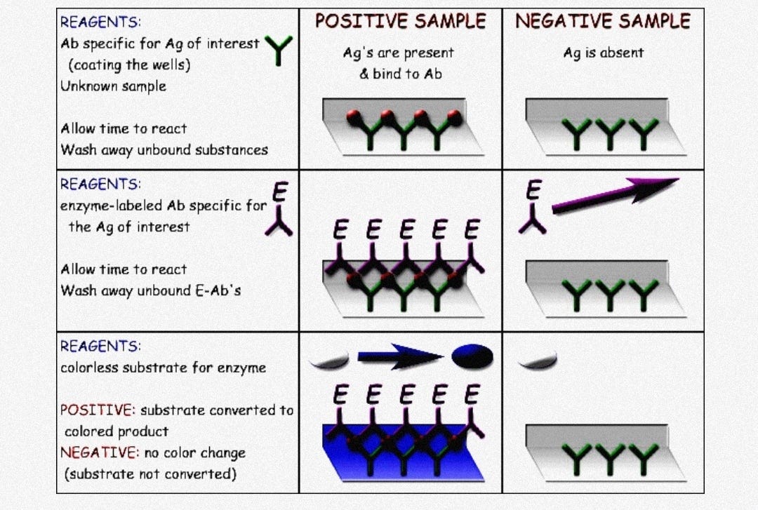 ENZYME LINKED IMMUNOSORBANT ASSAY (ELISA) ELISA is based on the ...