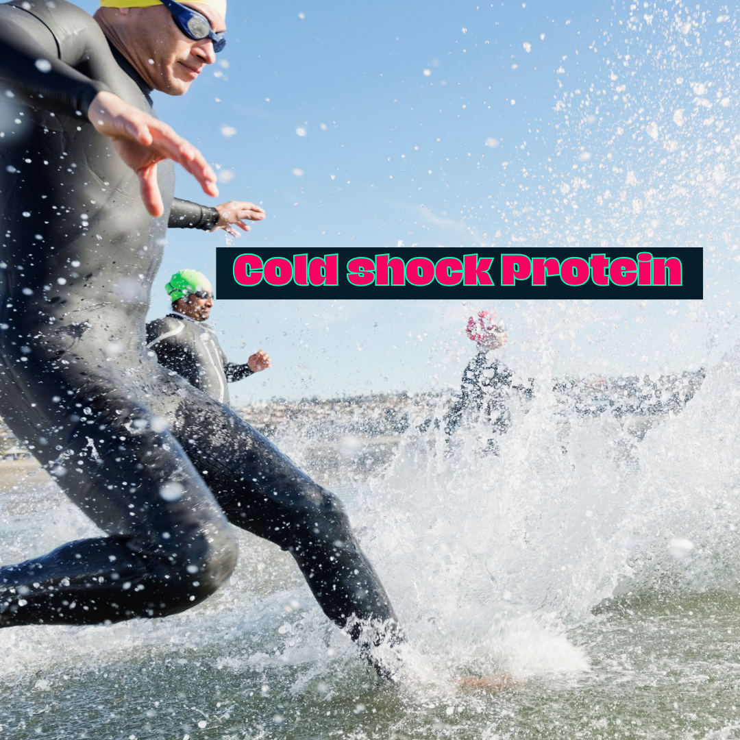 Cold Shock Protein. When exposed to very cold temperatures… | by The ...