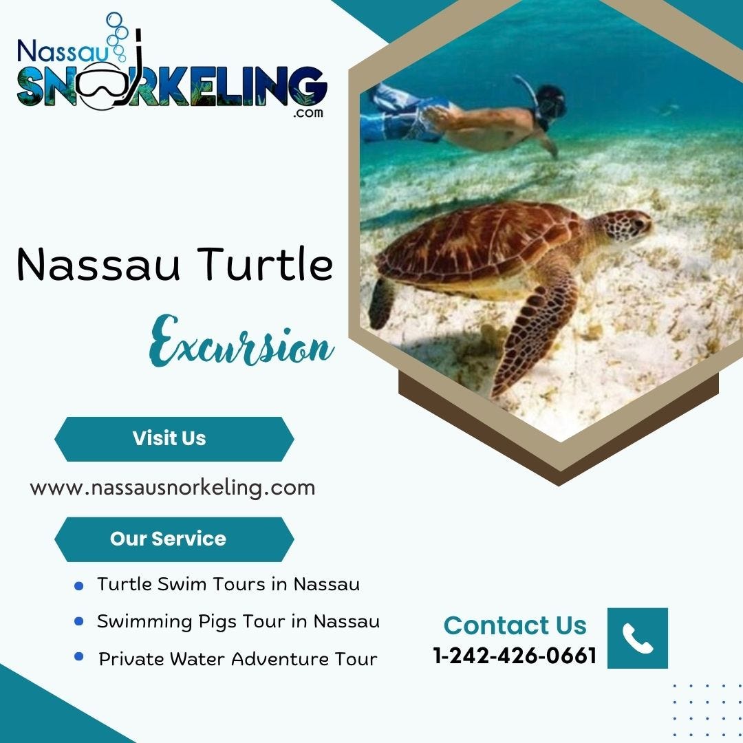 Dive into Adventure: Nassau Turtle Excursion and Snorkeling Delights ...