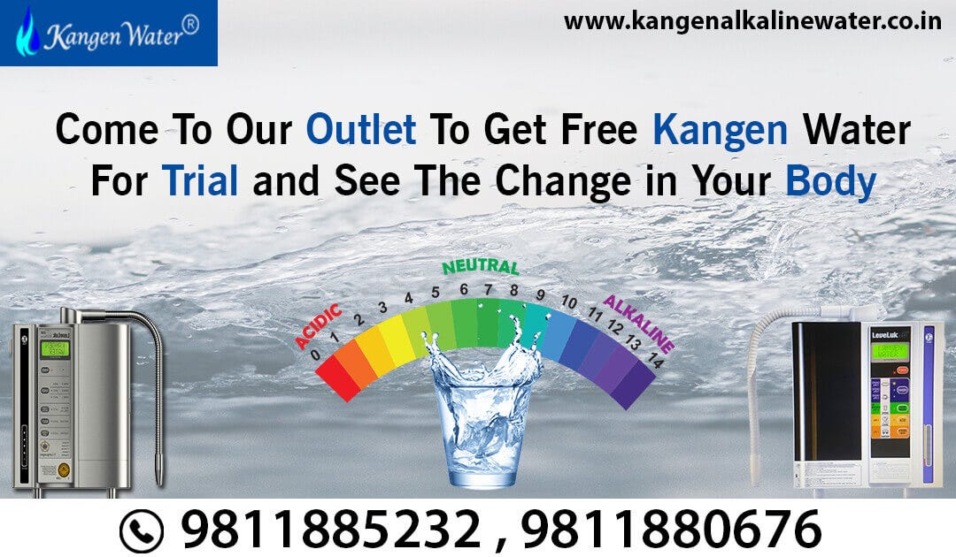 The Top Kangen Water - Anna Kooper - Medium