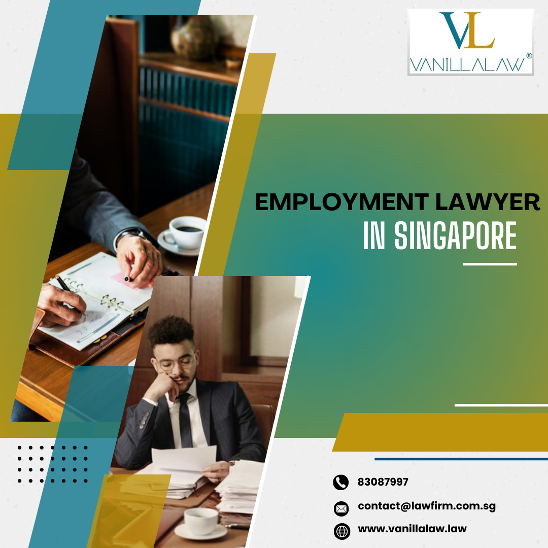 Employment lawyer in Singapore - Vanillalaw LLC - Medium