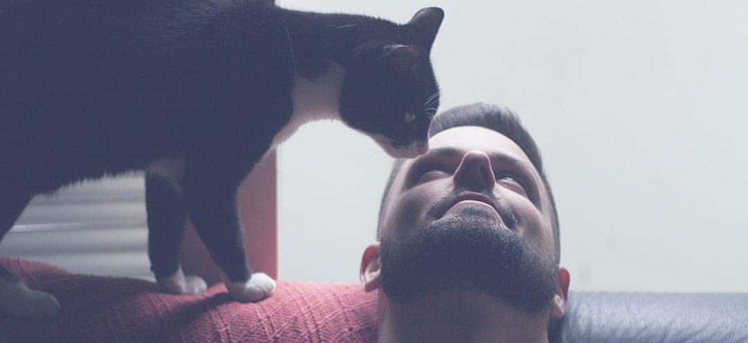 Hitch, el gato. Do dia que eu descobri que tu tinha… | by Matheus Bonez ...