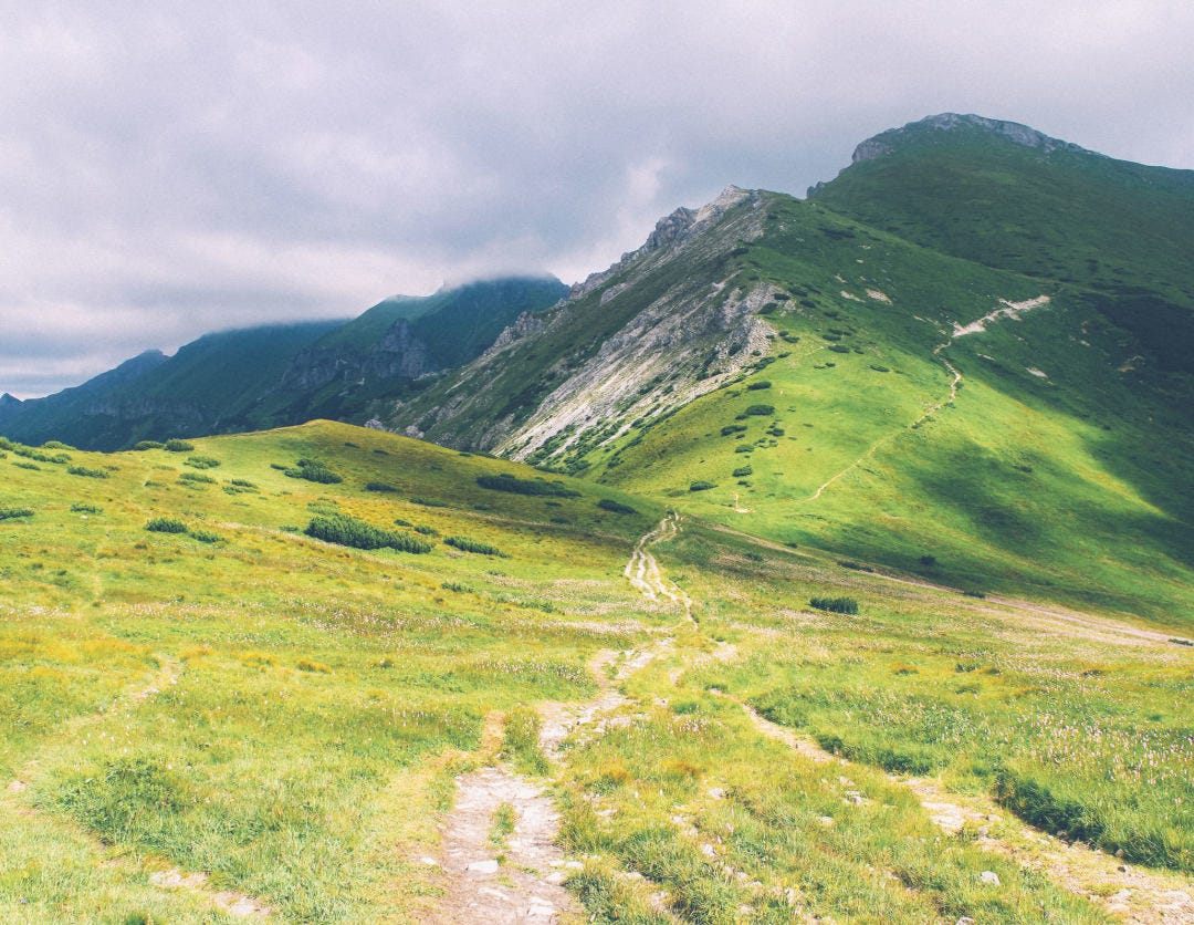 This Weird Adventure. There is a life that lives within your… | by Saadi Allan | Medium