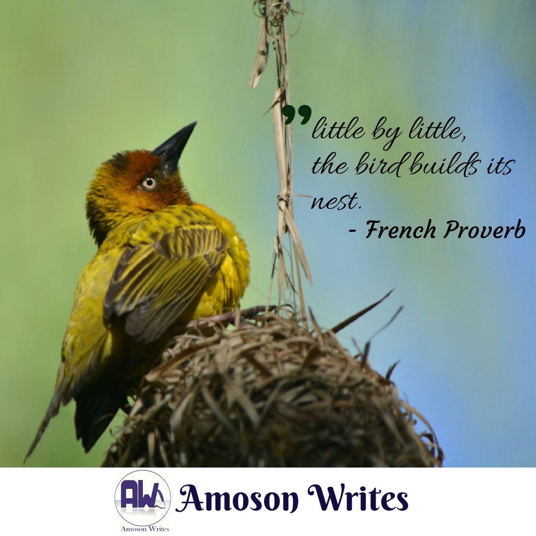 Bird Nest Quotes