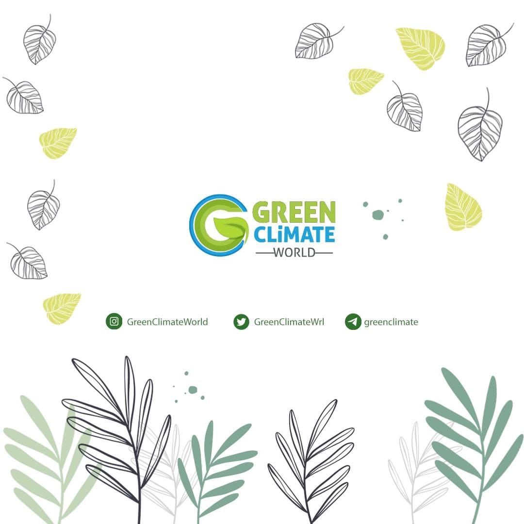 Green Climate World Monthly Review for August💪💪💪 - Green Climate World ...