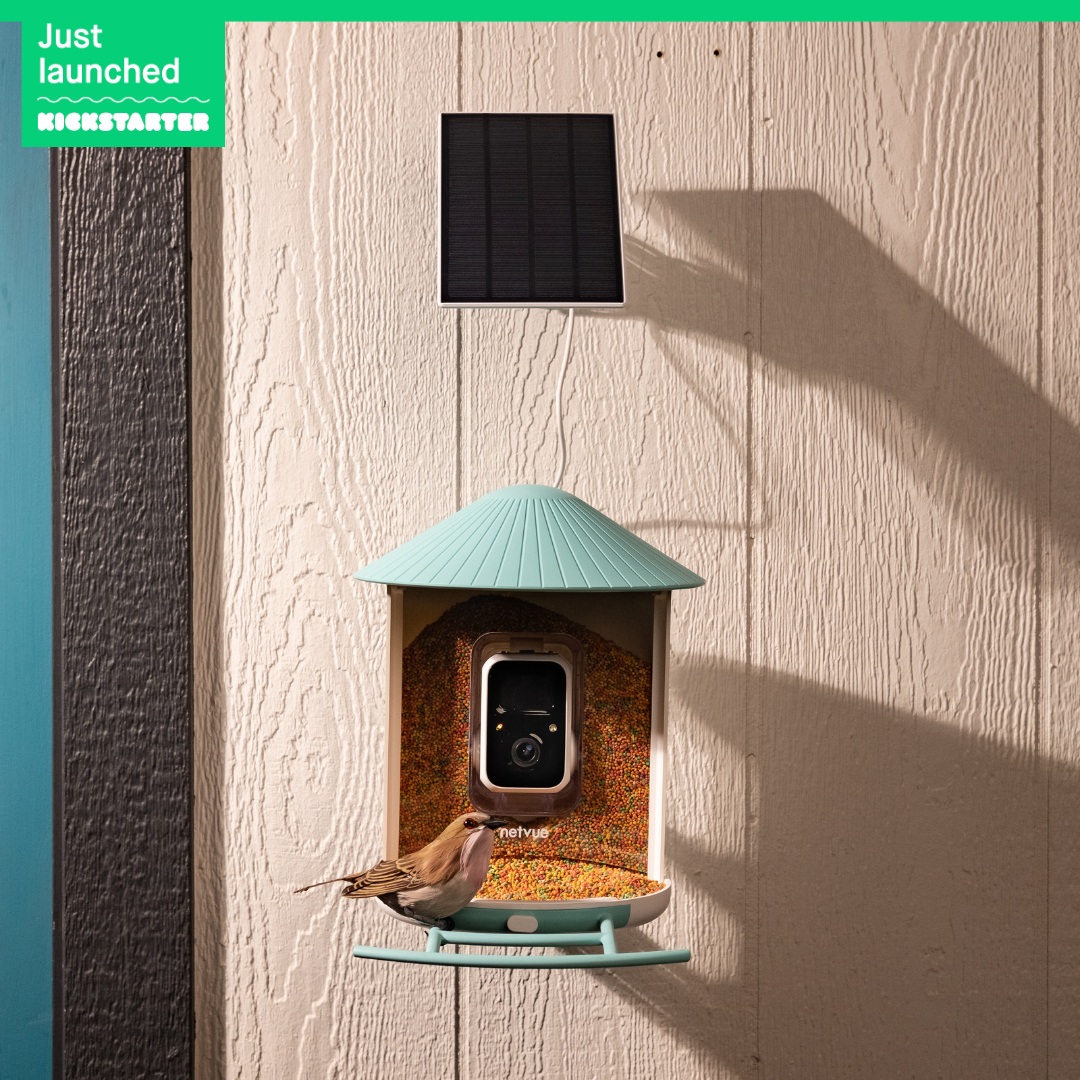 Introducing Birdfy: The First Auto AI Recognition Bird Feeder Camera | by Netvue | Medium