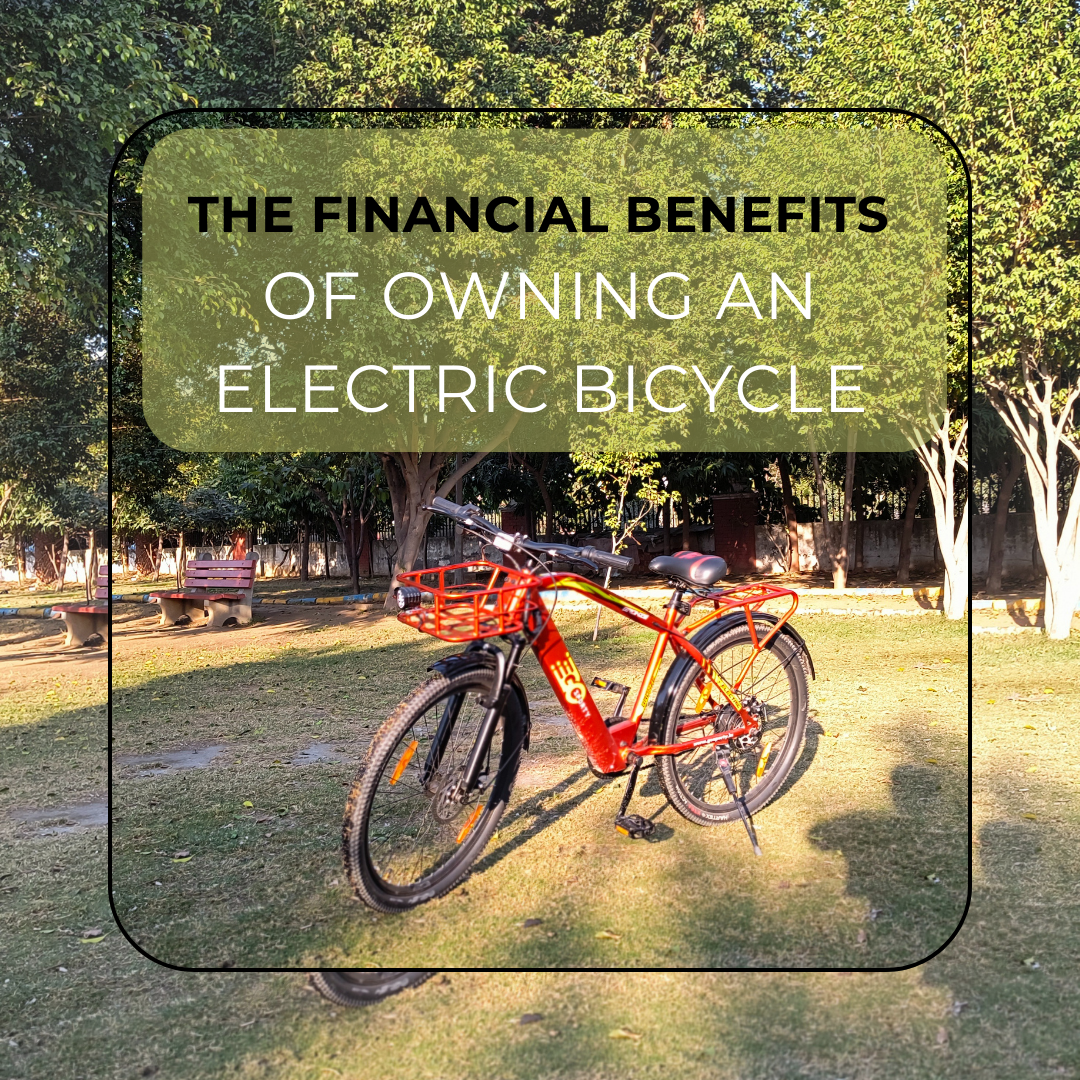 The Financial Benefits of Owning an Electric Bicycle | by IshaArora ...