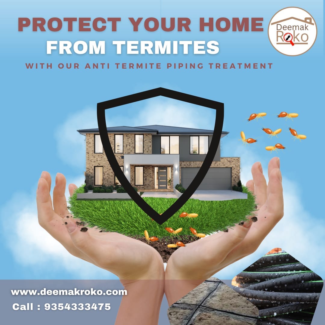 🏡 Protect Your Home from Termites with Deemak Roko’s Anti-Termite ...