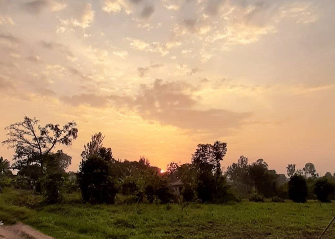 Short. Sweet. Valuable.