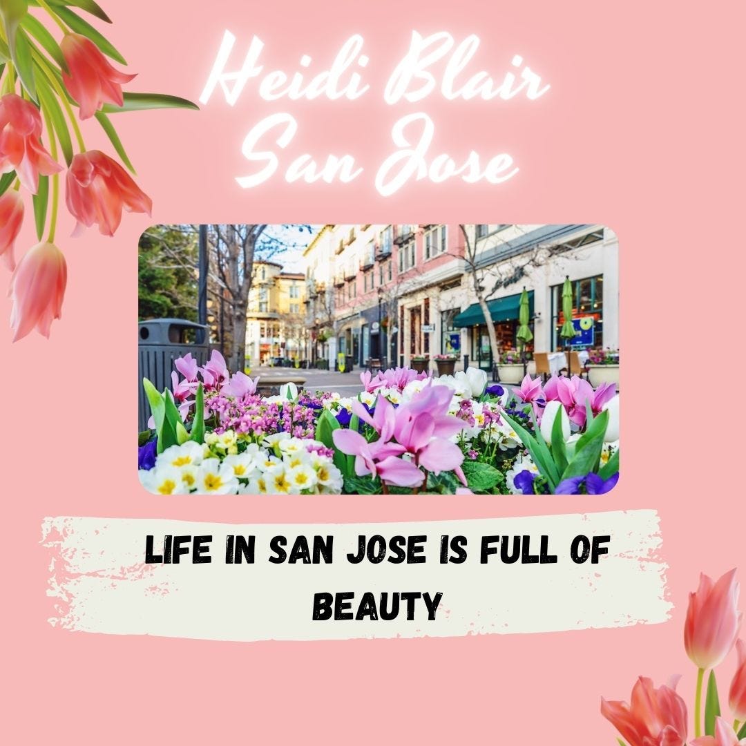Heidi Blair San Jose — Life in San Jose is full of beauty - Heidi Blair ...