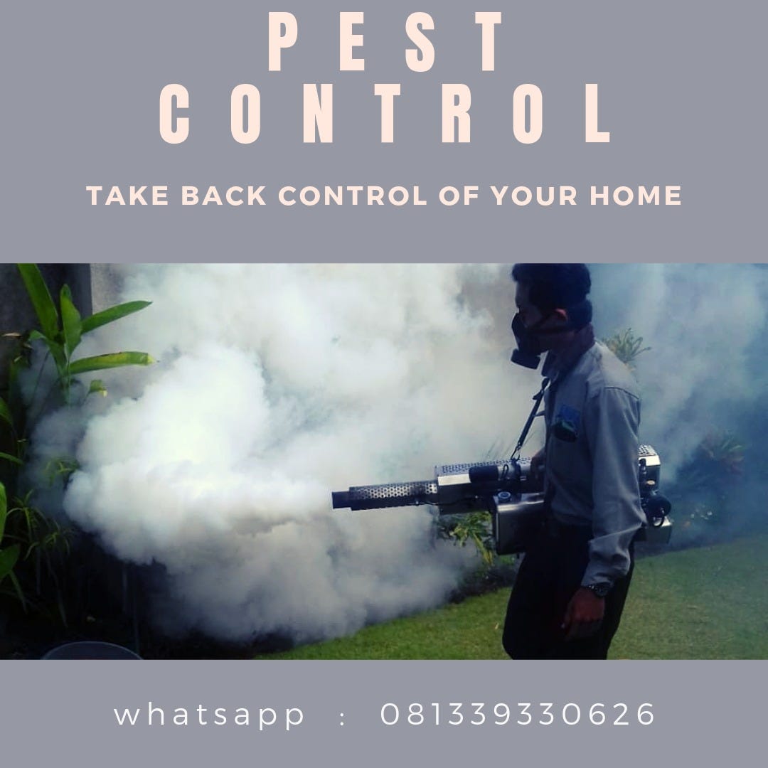 081339330626 The Best Pest Control Bali | by Elony Efrata | Medium