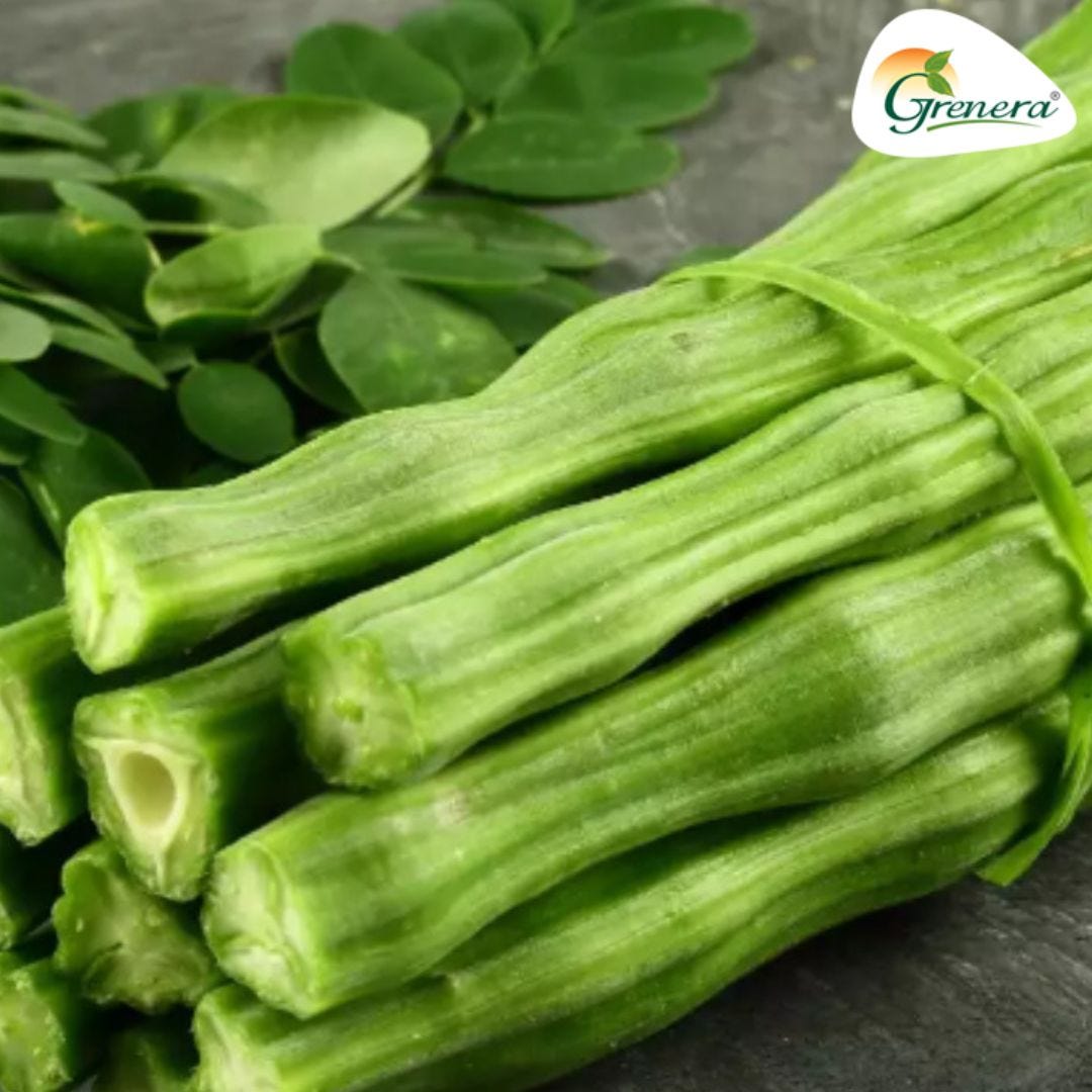 Moringa Company In India - grenera seo - Medium