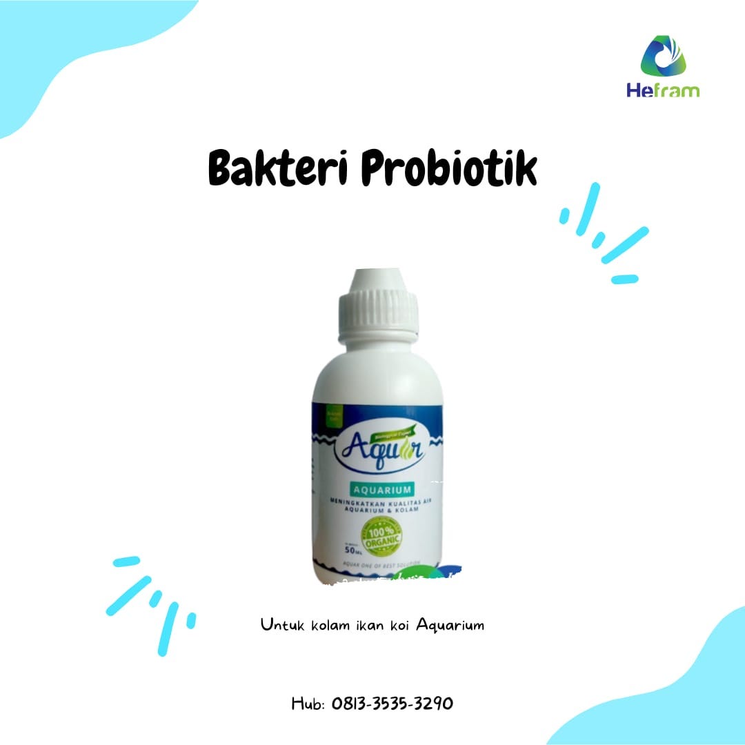 Bakteri Probiotik untuk Kolam Ikan Koi Aquarium 0813–3535–3290 ...