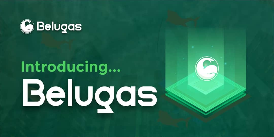 Introducing Belugas : A Lending protocol on SEI Chain | by BELUGAS | Medium