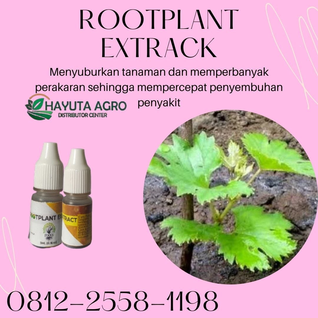 SEDANG PROMO! CALL! 0812-2558-1198, AGEN pupuk perangsang akar tanaman ...