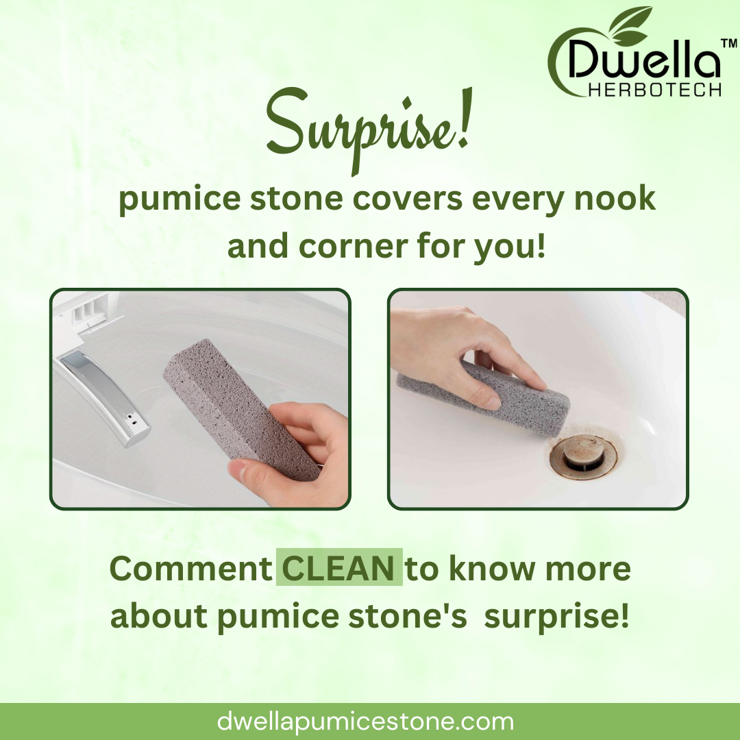 NATURAL & POWERFUL PUMICE STONE - Dwella Herbotech - Medium