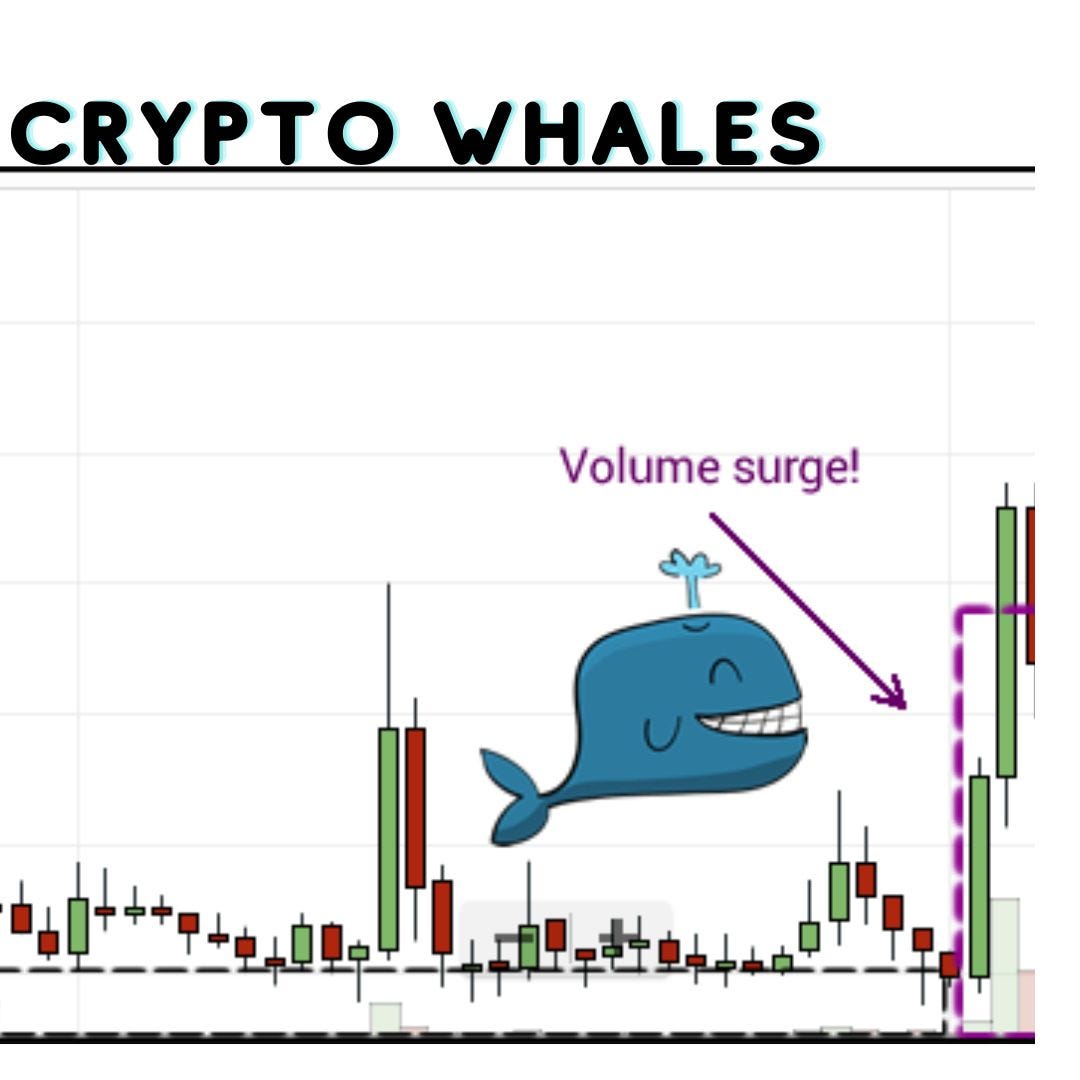 Who are Crypto Whales? How can they impact the market? | by Blocktech brew | Medium