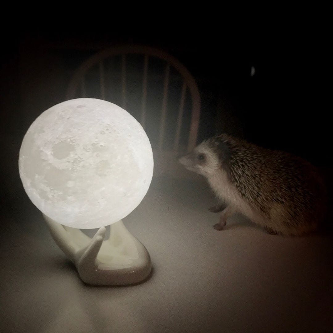 Top 3 Reasons Why You Need this Captivating Moon Light Lamp | by the ...
