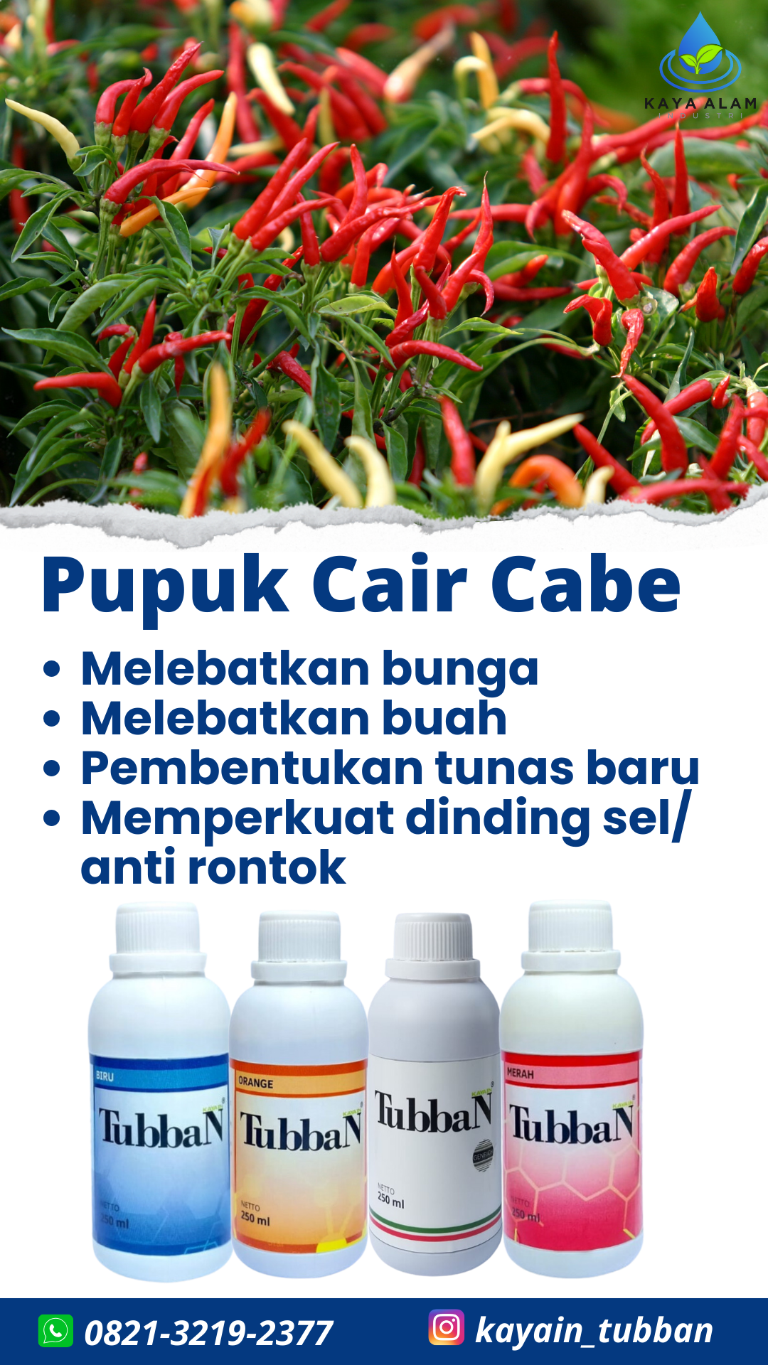 PUPUK CAIR CABE KAYAIN TUBBAN — 082132192377 - Kayain TubbaN - Medium
