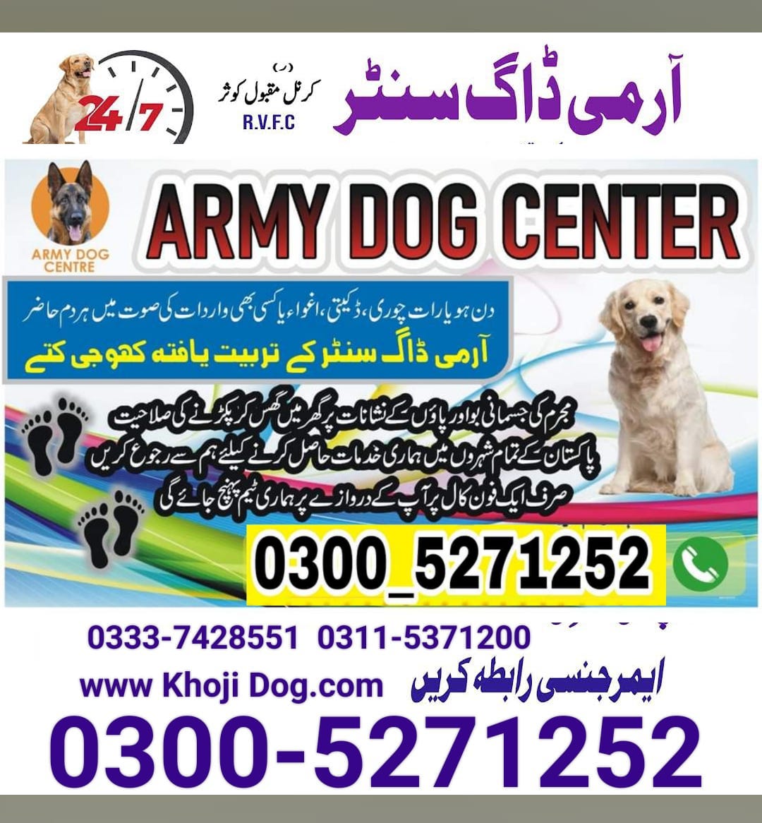 Army dog center okara Khoji dog center in all over Pakistan 03005271252 ...