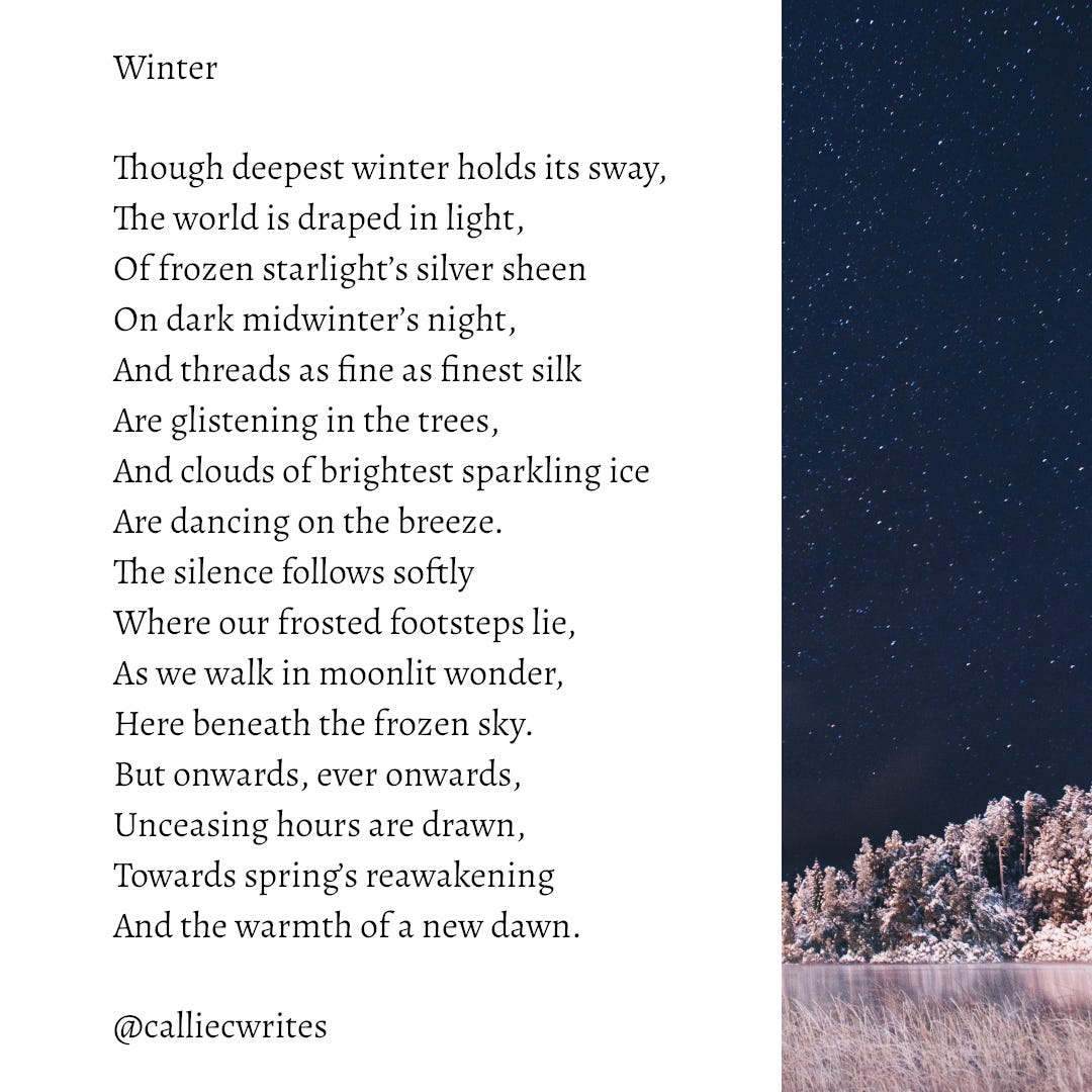 Winter - Callie Cameron - Medium